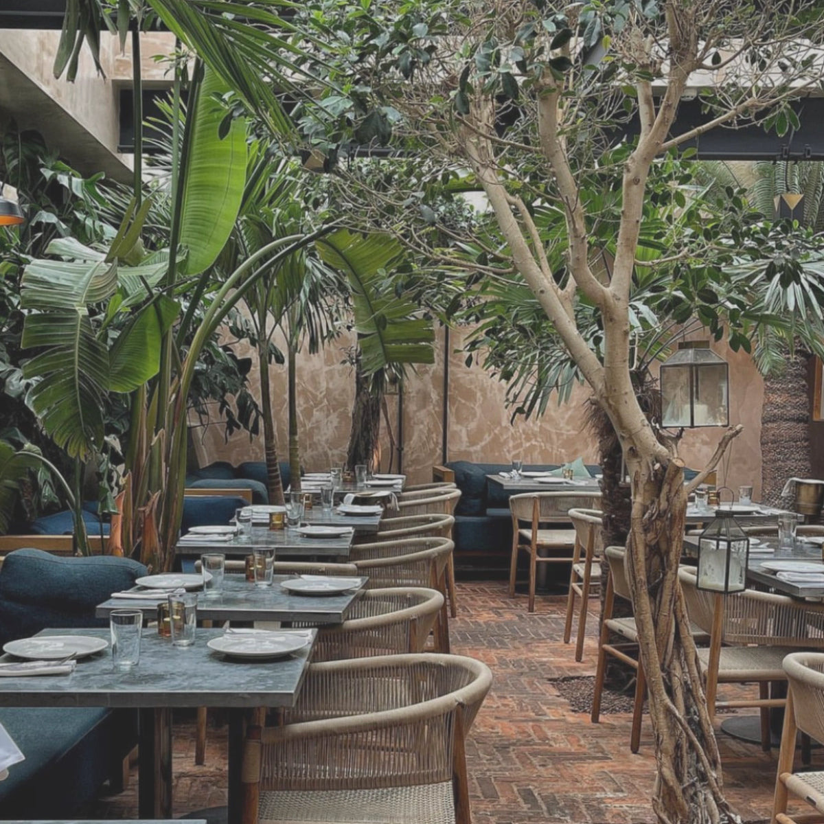 Stef’s Top Three London Picks – SEFI